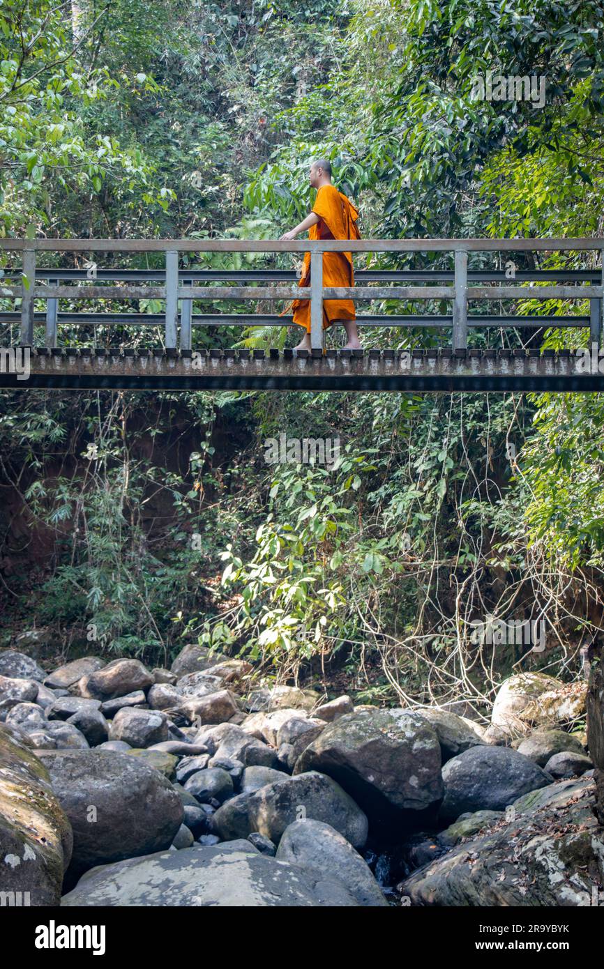 Buddhist monk walks hi-res stock photography and images - Alamy