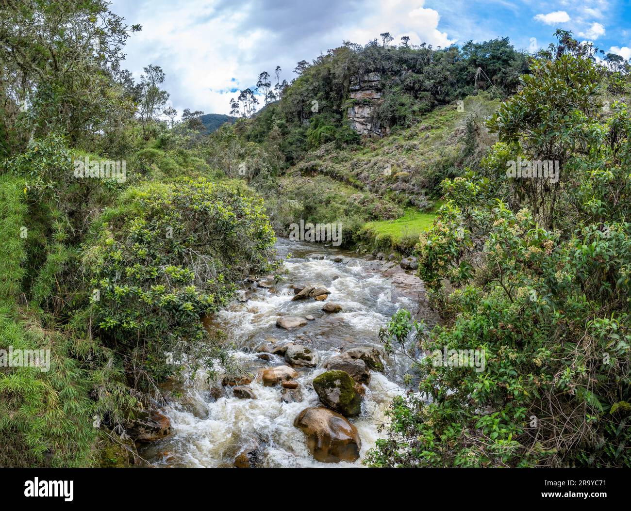Stream runs in the hills of Eastern Andes Mountains. Colombia, South ...
