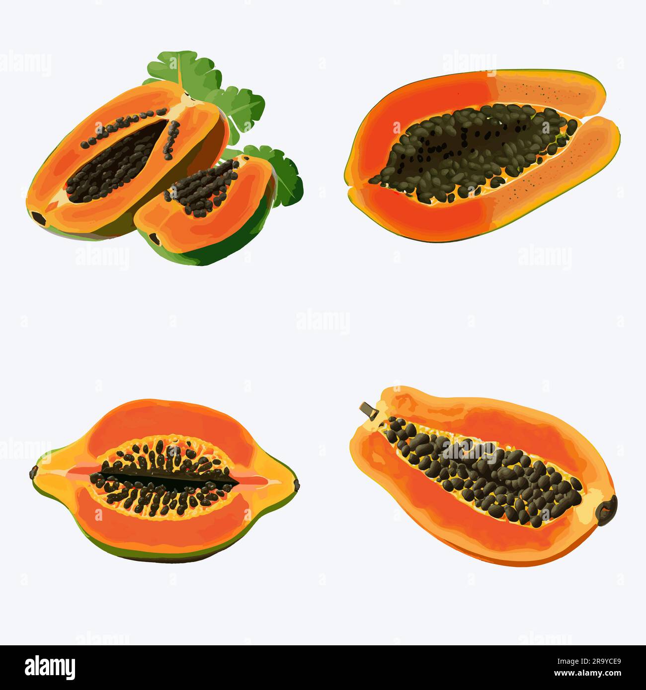 Ripe fruit vector vectors Stock Vector Images - Alamy