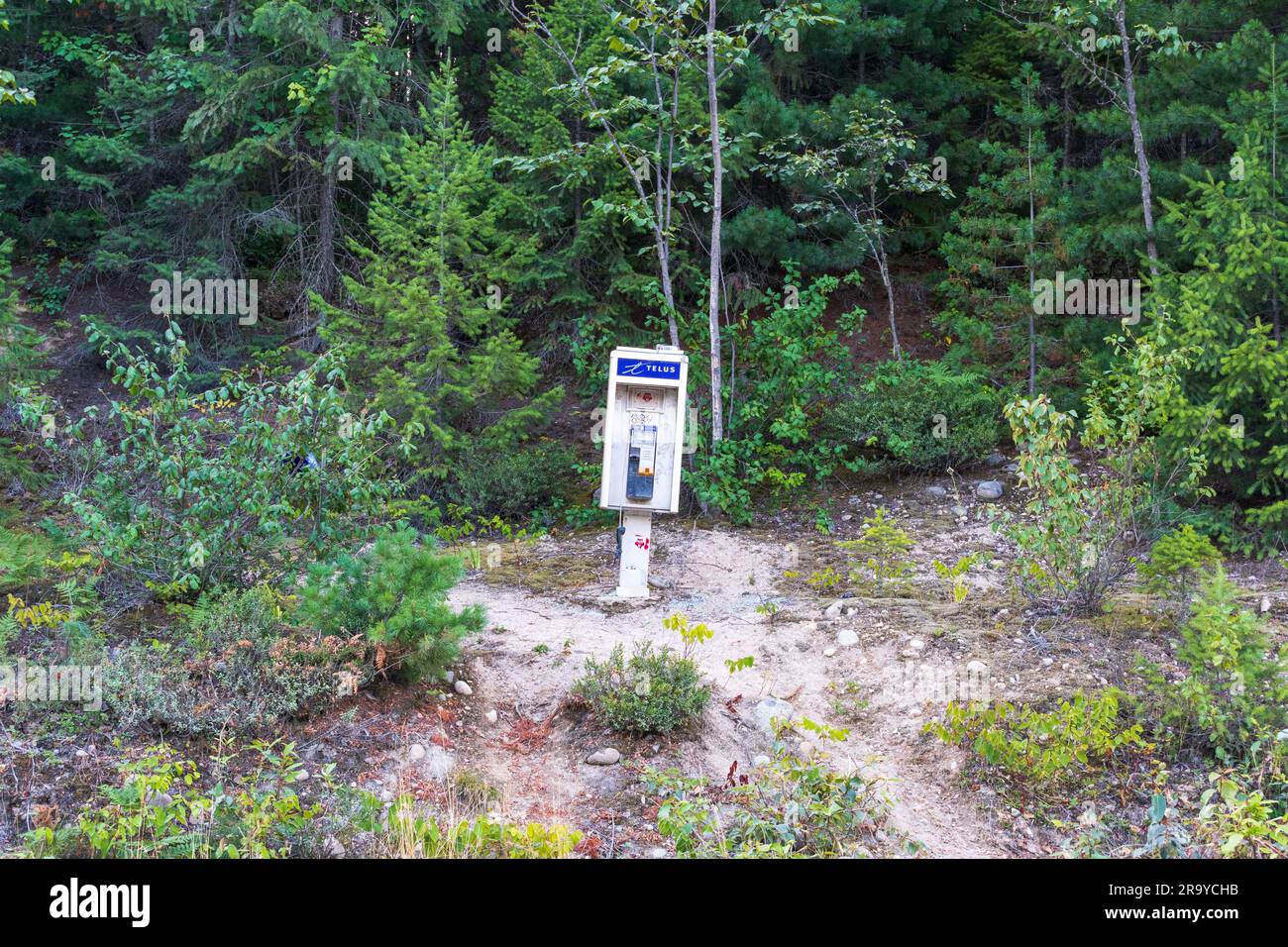 Old phone booth in forest hi-res stock photography and images - Alamy