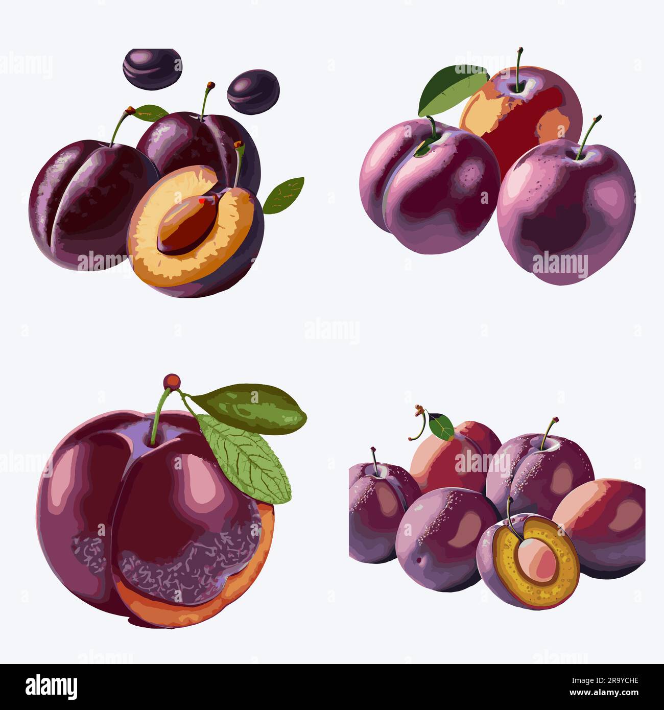 Red plum vector vectors hi-res stock photography and images - Alamy