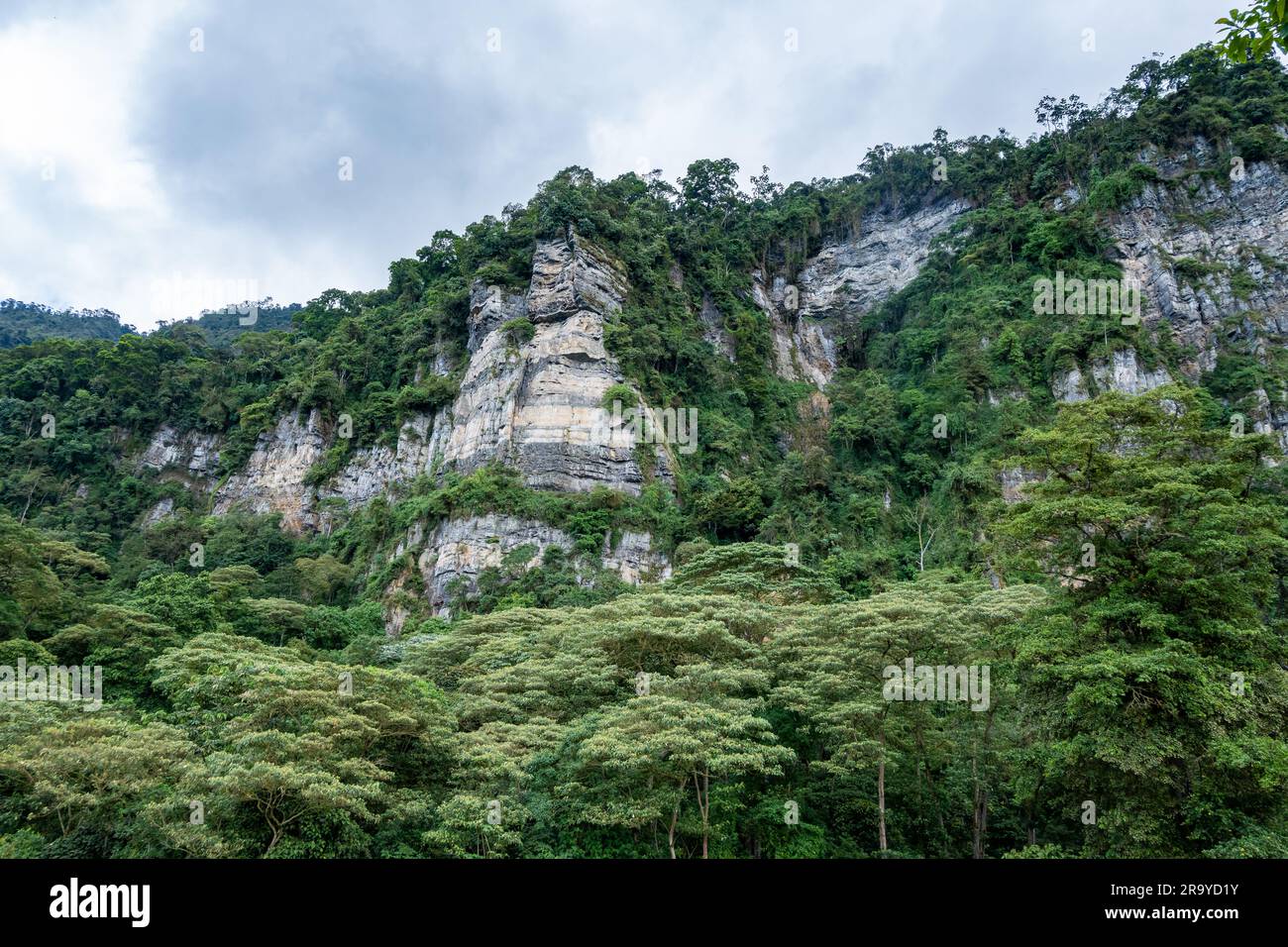 Rock cliff in the Parque Natural Chicaque. Colombia, South America ...