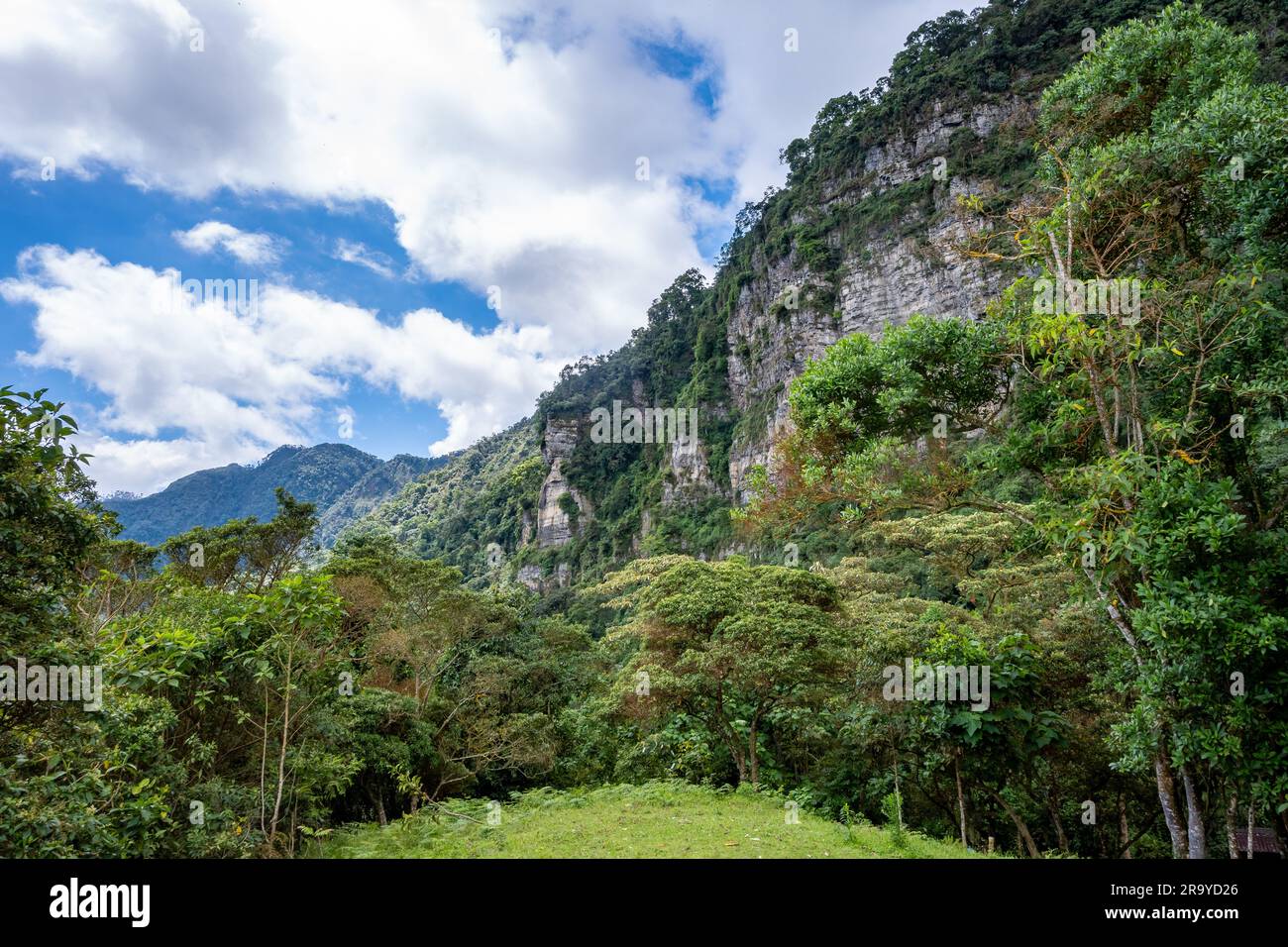 Parque natural chicaque hi-res stock photography and images - Alamy