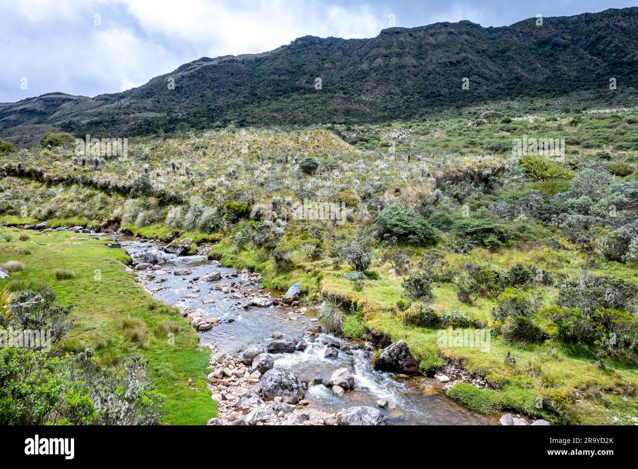 Mountain stream at high elevation paramo of Andes Mountains. Sumapaz ...