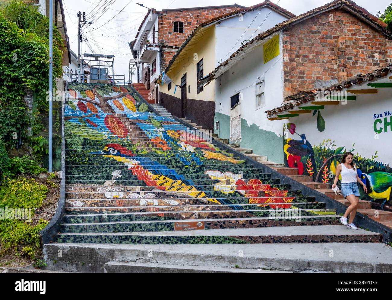 Colorful mosaic on the steps of San Vincente de Chucuri, depicting rich ...