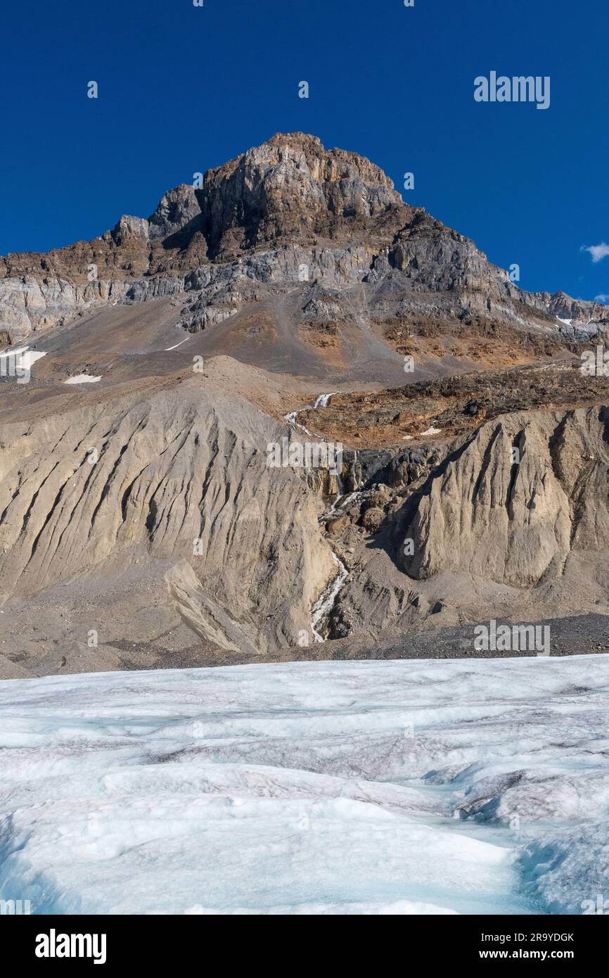 Columbia Icefield, glacier along Icefields Parkway, Jasper, Alberta ...
