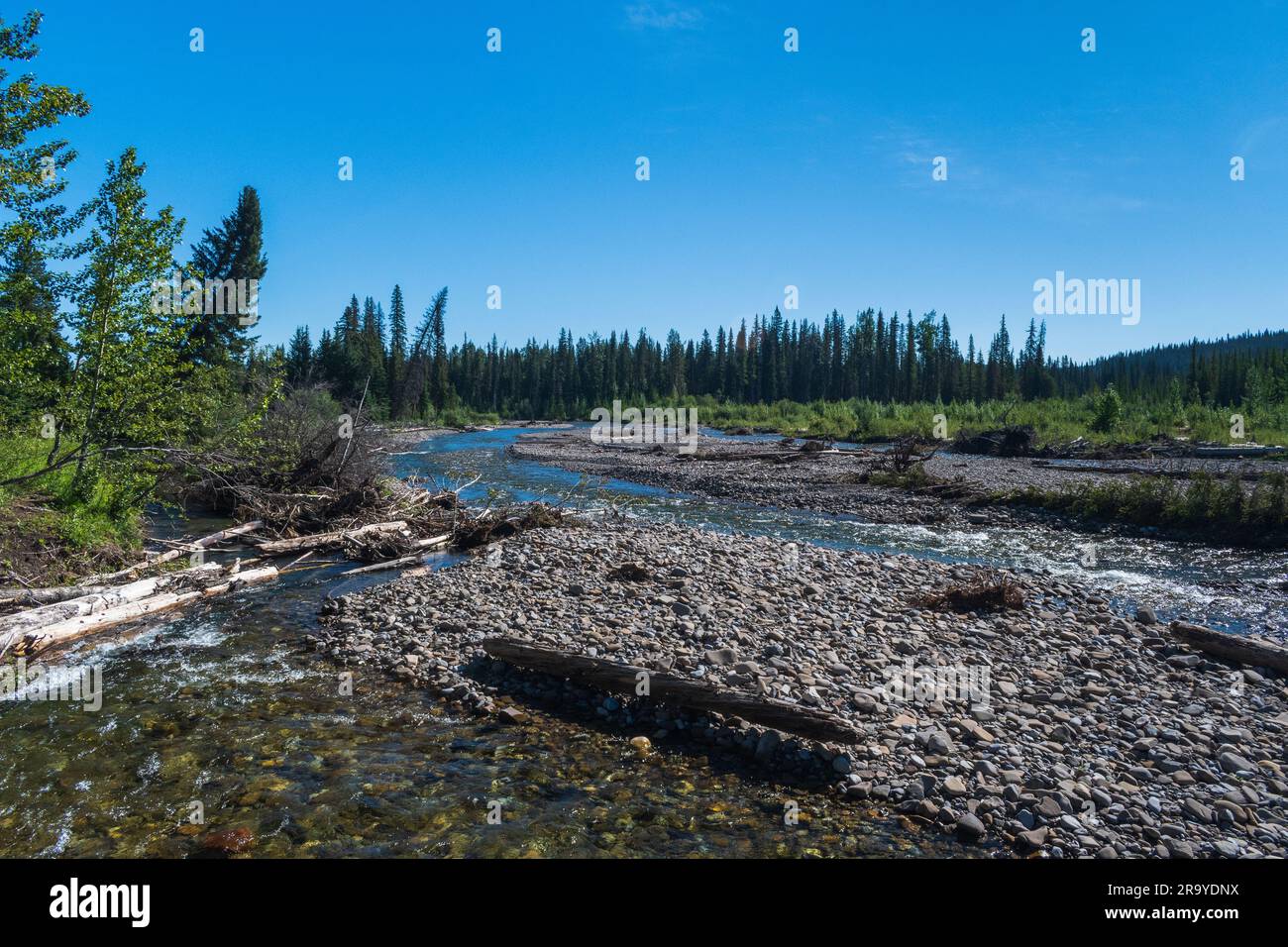 Beautiful river scenery in Big Berland Provincial Recreation Area ...