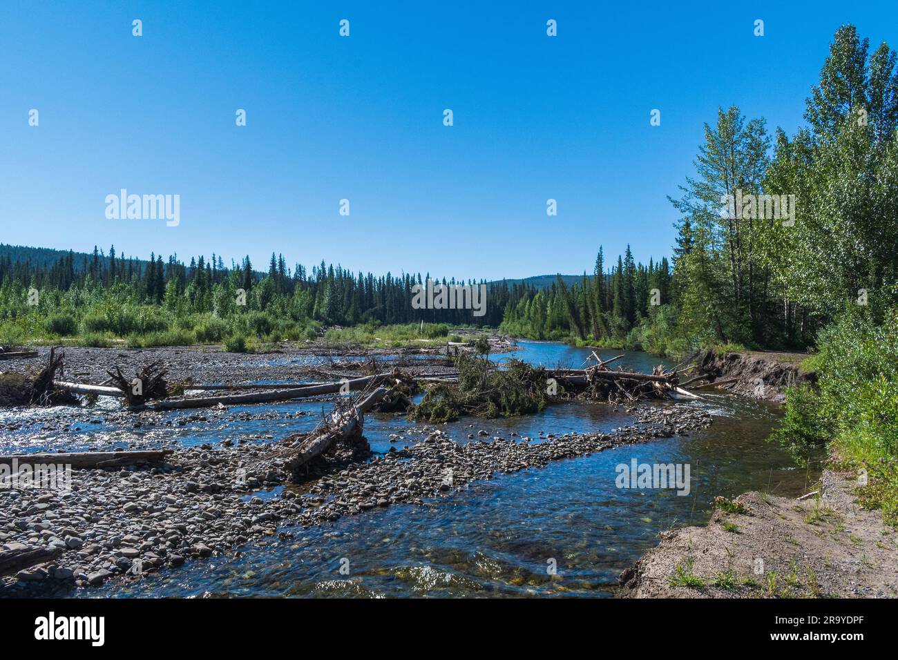 Beautiful river scenery in Big Berland Provincial Recreation Area ...