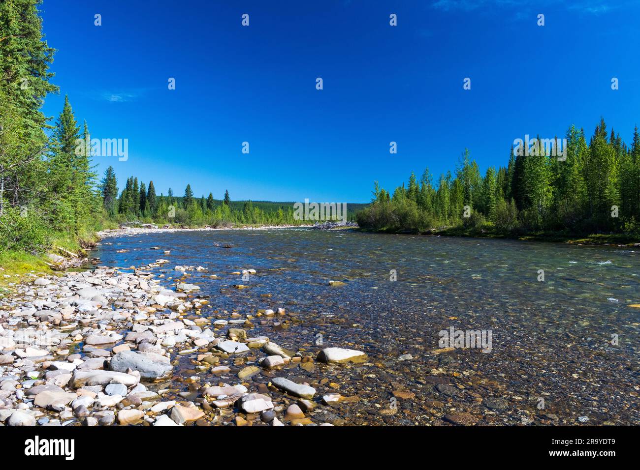 Beautiful river scenery in Big Berland Provincial Recreation Area ...