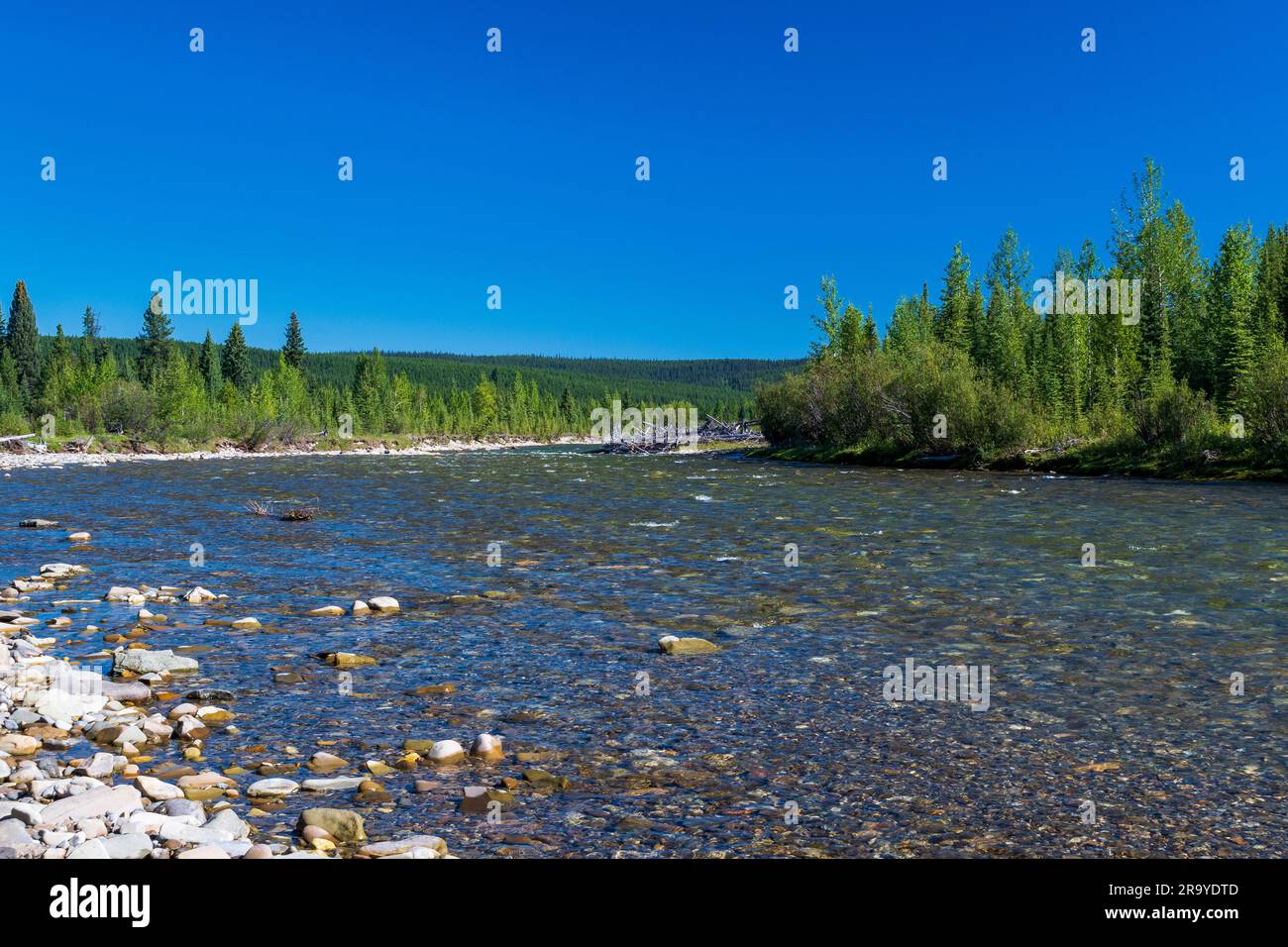 Beautiful river scenery in Big Berland Provincial Recreation Area ...