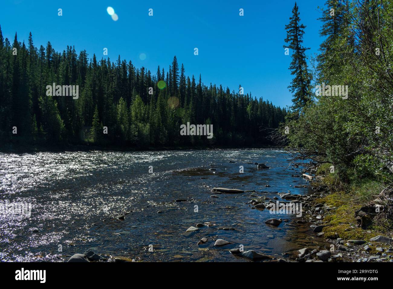 Beautiful river scenery in Big Berland Provincial Recreation Area ...