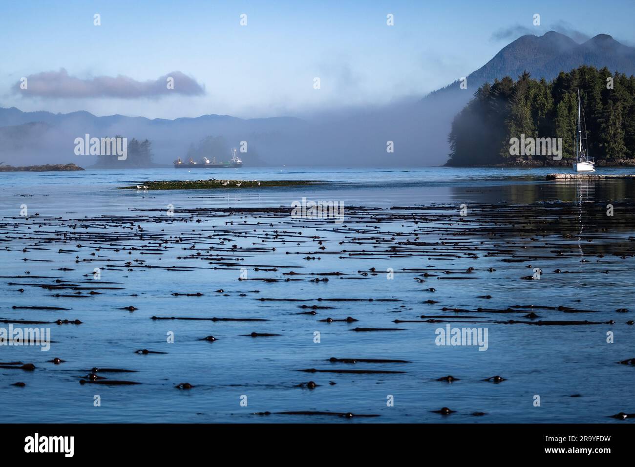 Columbia island, the lagoon in the morning. Tofino is a district ...