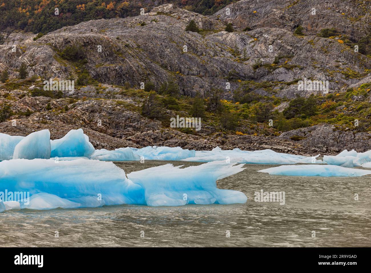 Impressive light blue icebergs in Lago Grey in front of rocks and ...