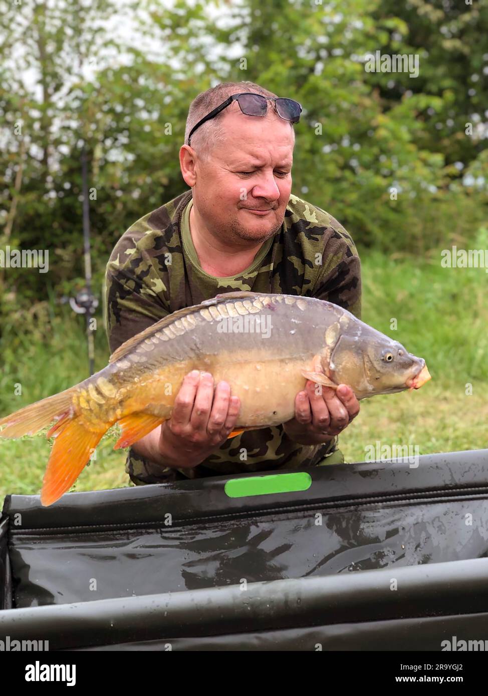 Big crucian carp hi-res stock photography and images - Alamy