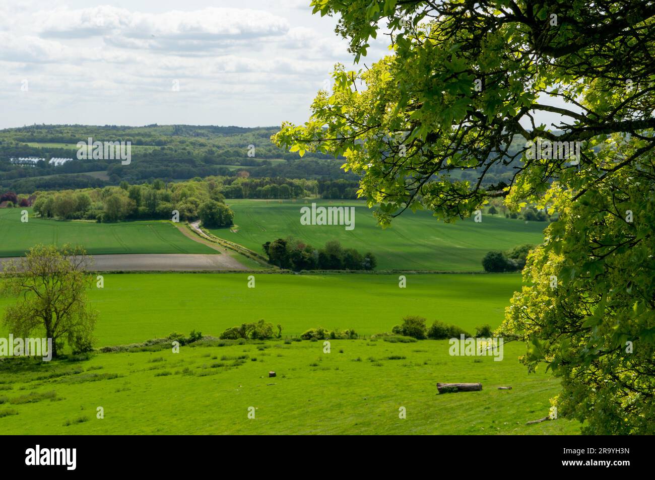 Expansive vista canopies hi-res stock photography and images - Alamy