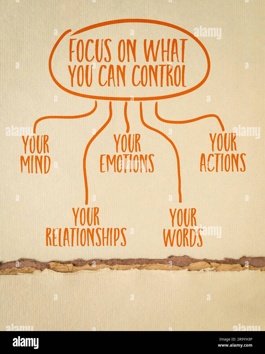 Focus On What You Can Control Your Mind Words Actions Emotions And