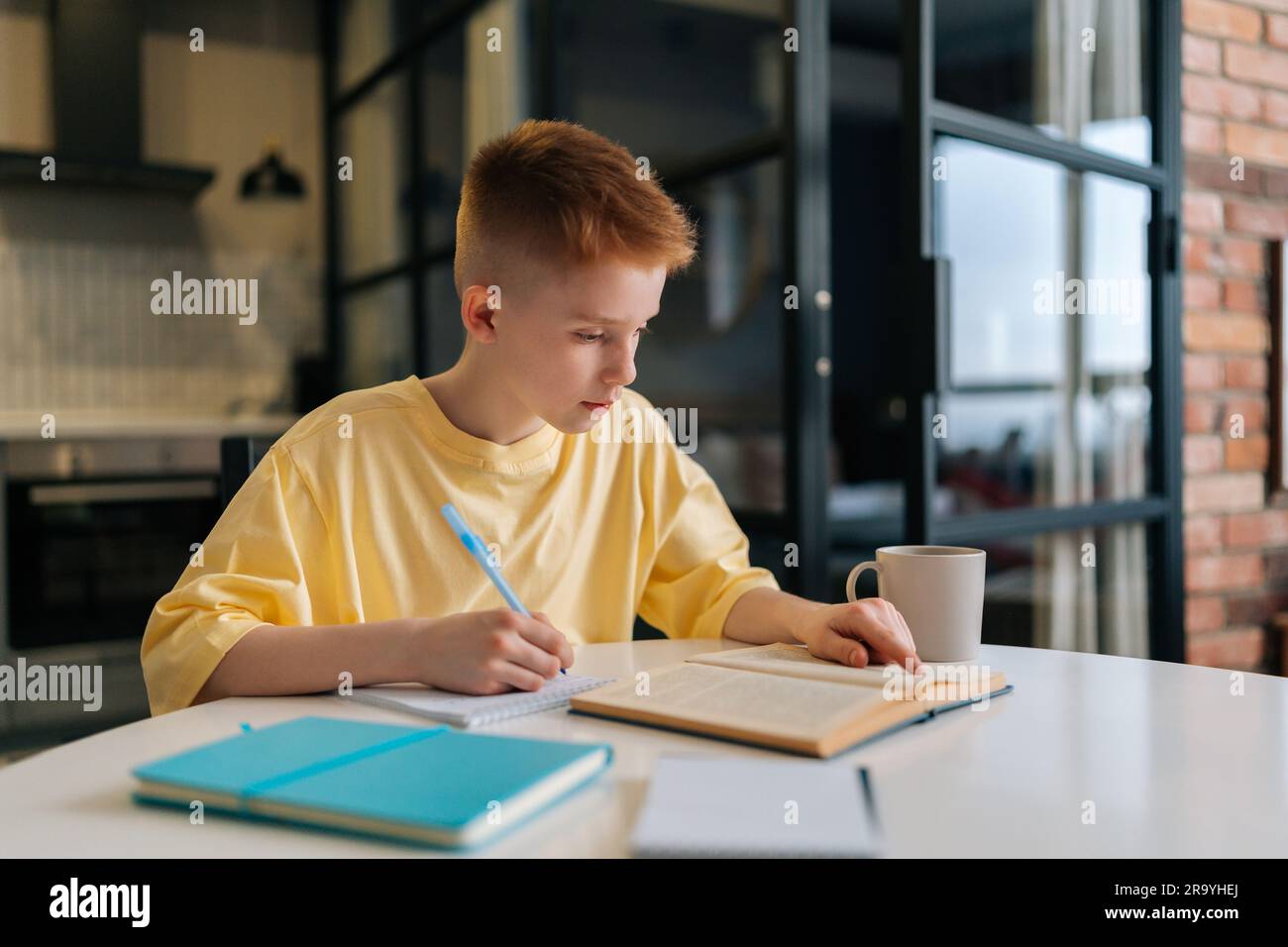 Side view of adorable pupil student boy studying at home writing in ...