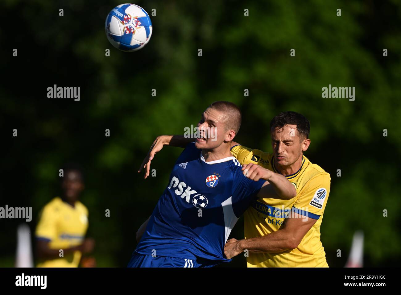 Bartol barisic hi-res stock photography and images - Alamy