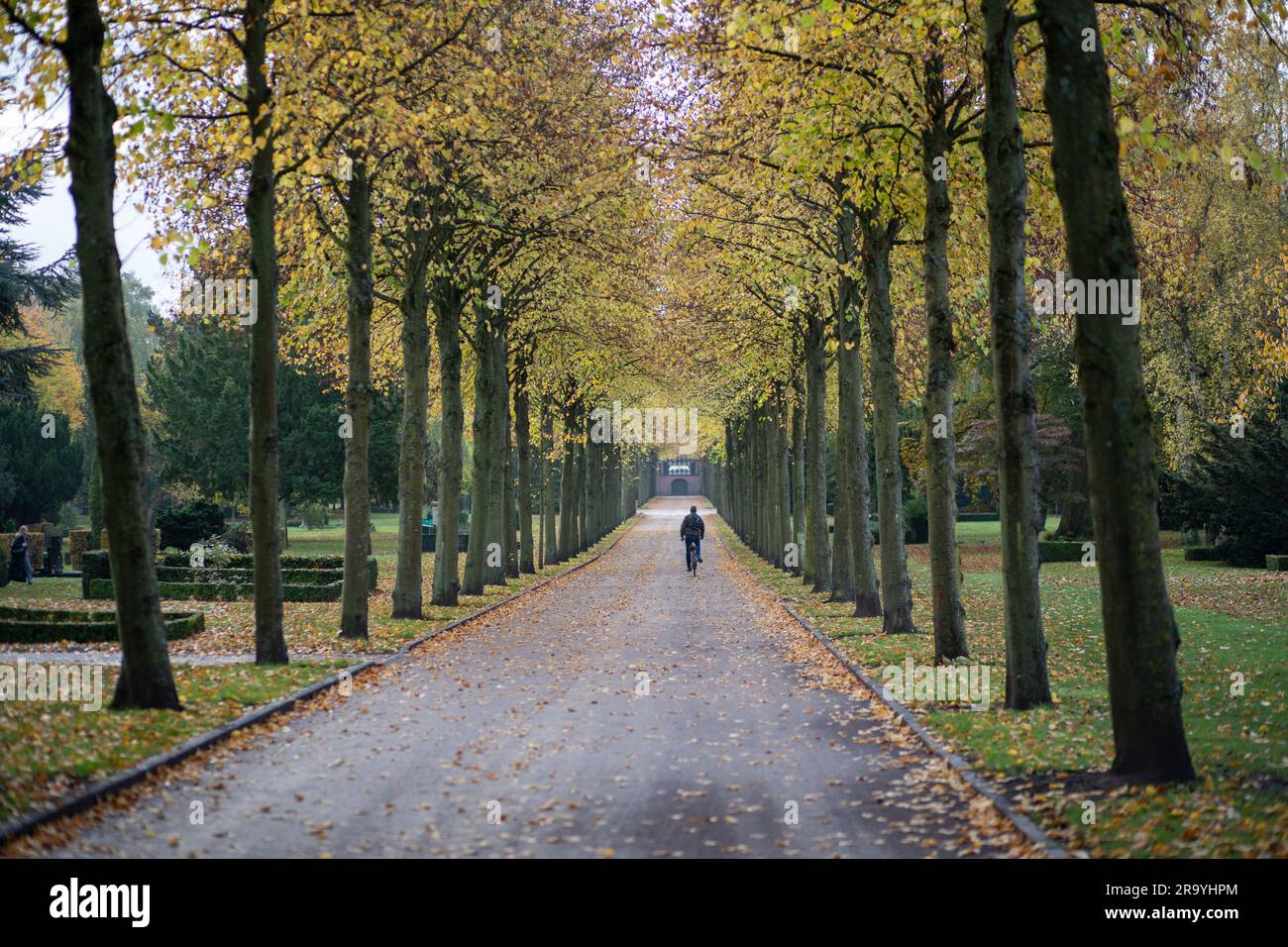 Autumn on Vestre Cemetery in Copenhagen Stock Photo - Alamy