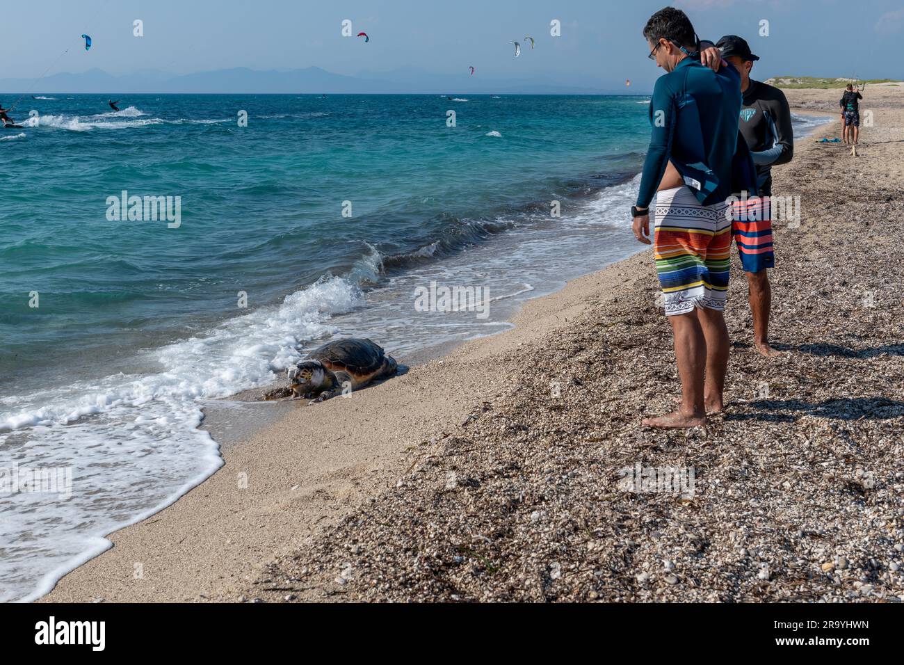 Lefkada island. Greece- 06.21.2023. Tourists looking at a dead ...