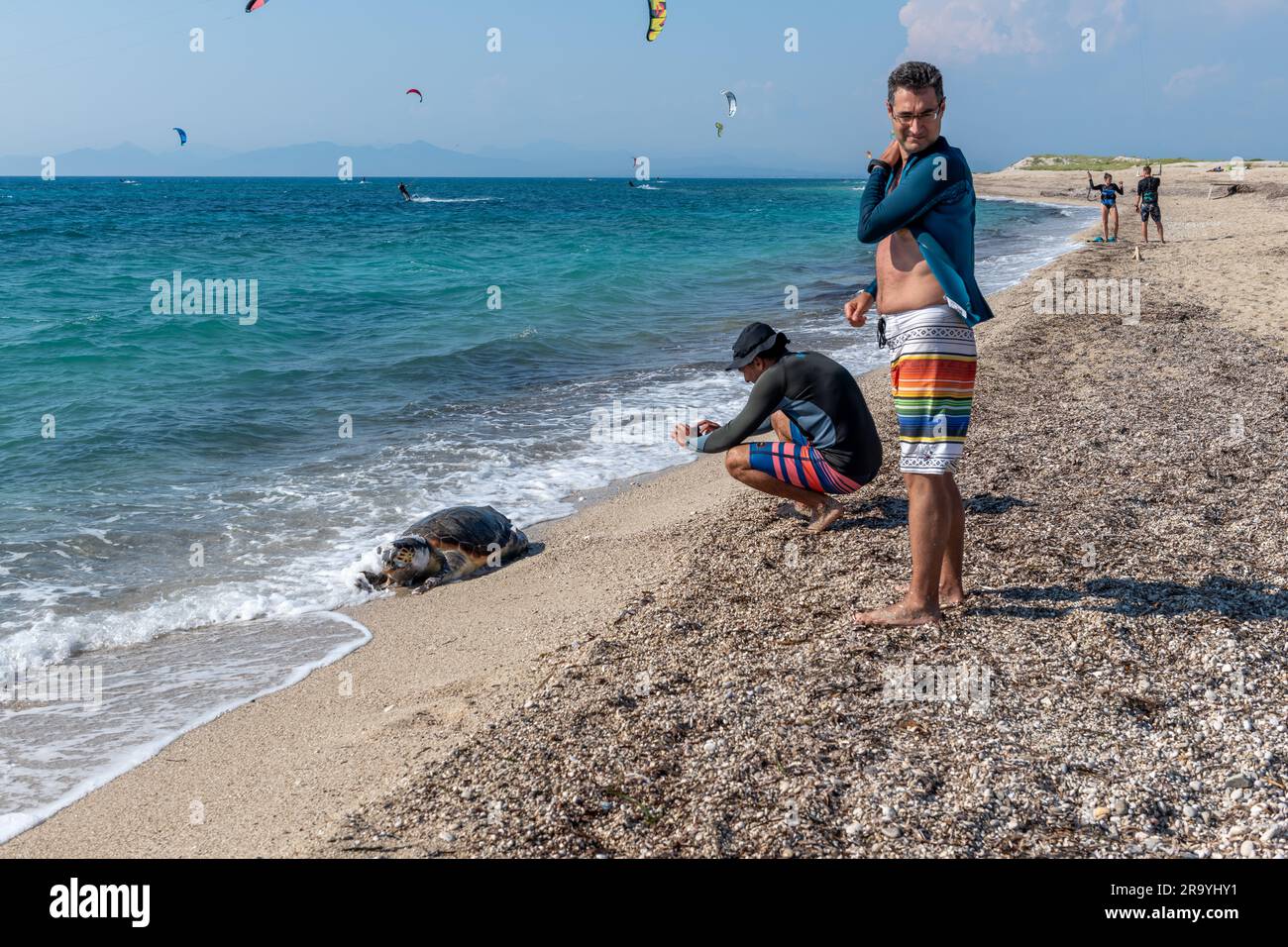 Giant turtles greece hi-res stock photography and images - Alamy