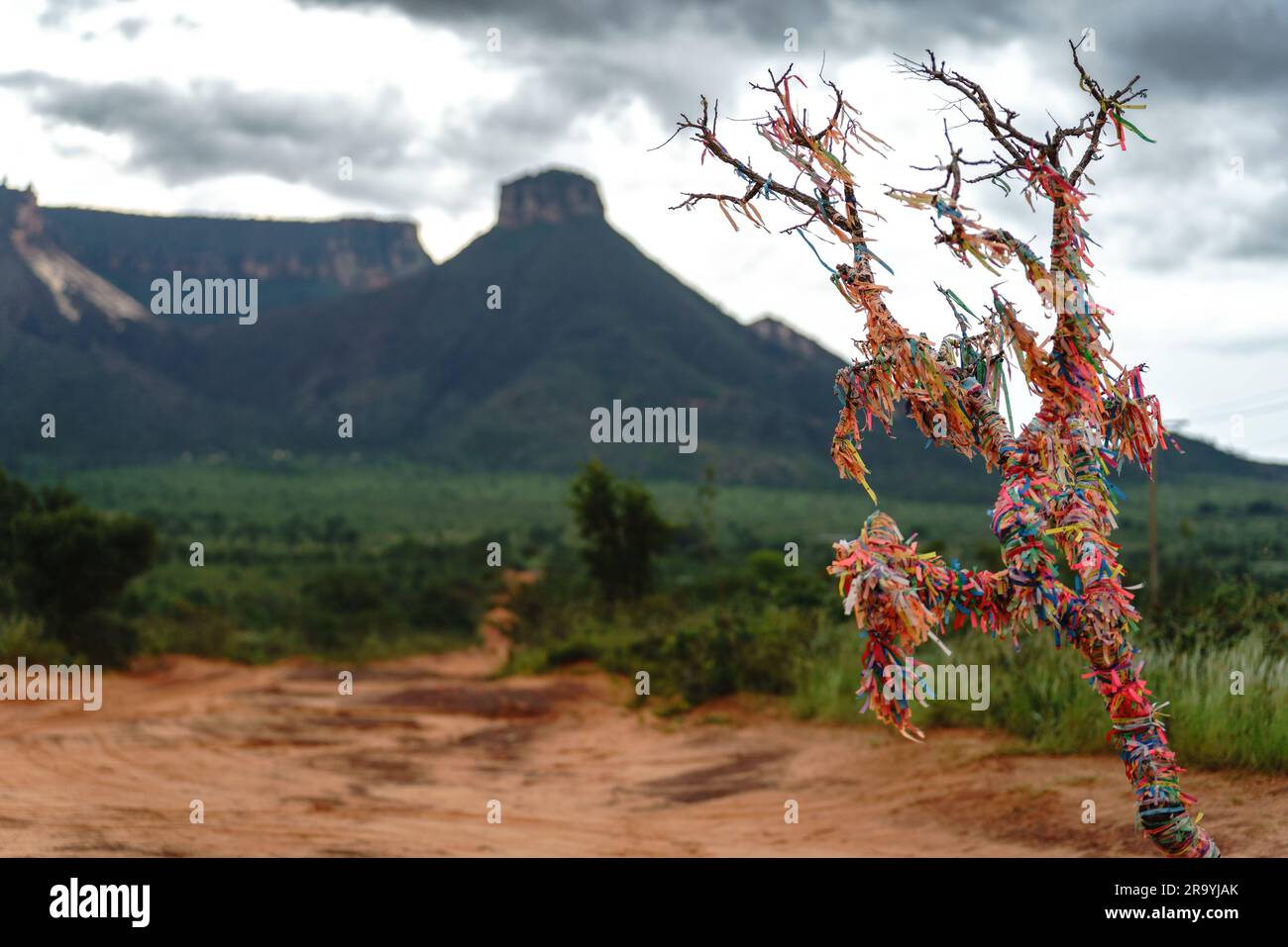 Wishes hanging in tree hi-res stock photography and images - Alamy