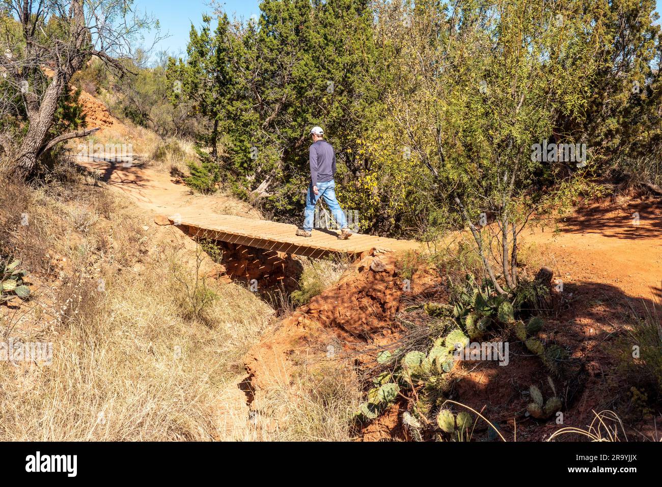 Plank bridge hi-res stock photography and images - Alamy