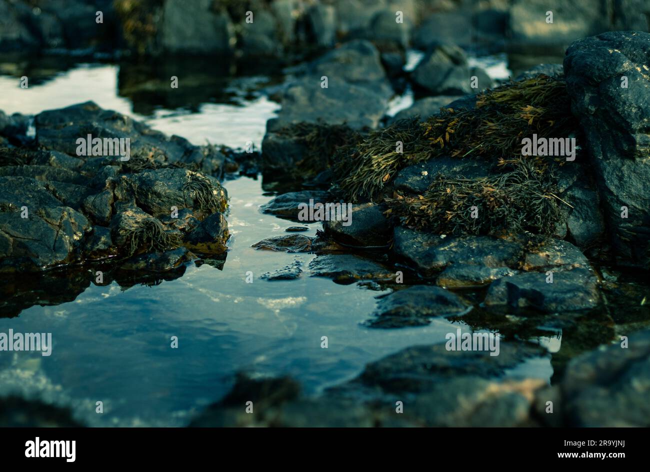 Stunning rockpools on Arisaig beach in the Scottish highlands Stock ...