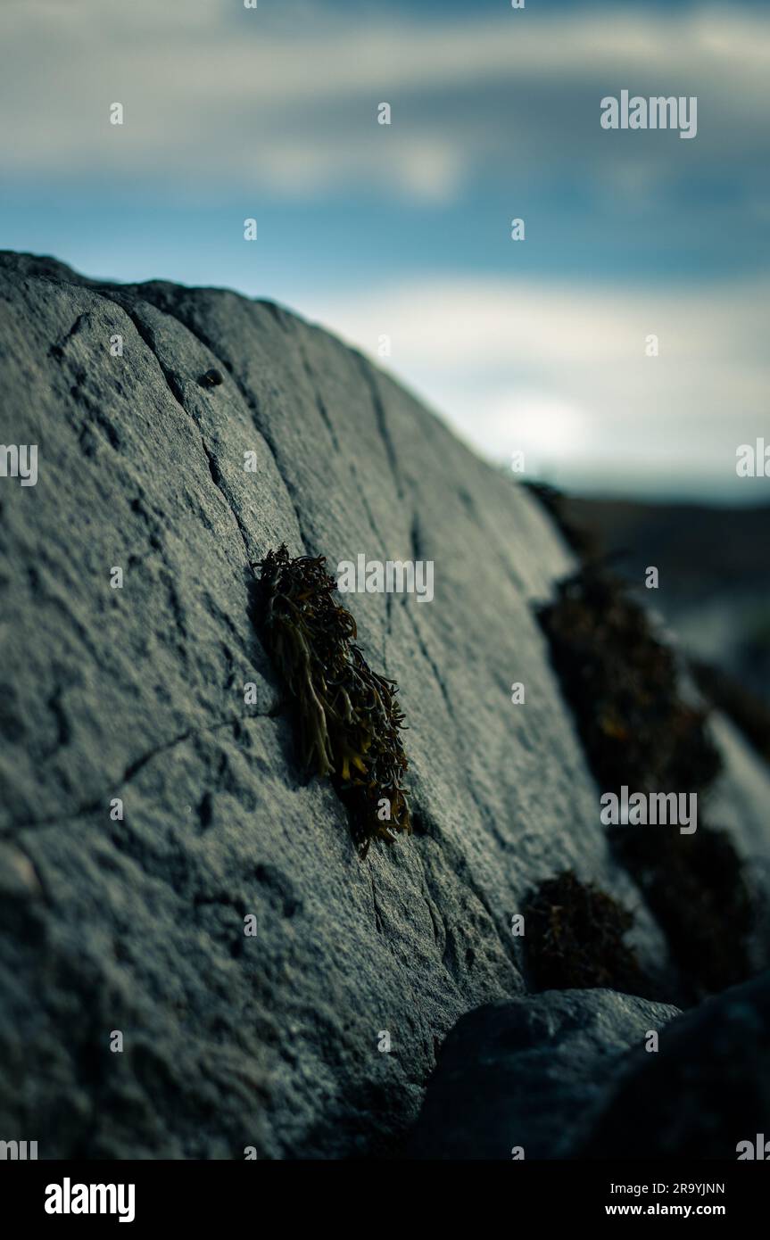 Stunning rockpools on Arisaig beach in the Scottish highlands Stock ...