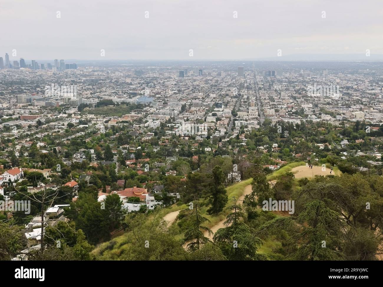 View from Griffith Park across the suburbs of Los Angeles California ...