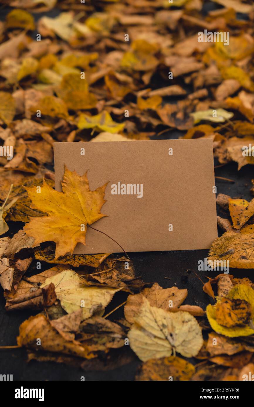 Empty earth tones envelope mock up around Colorful falling autumn ...