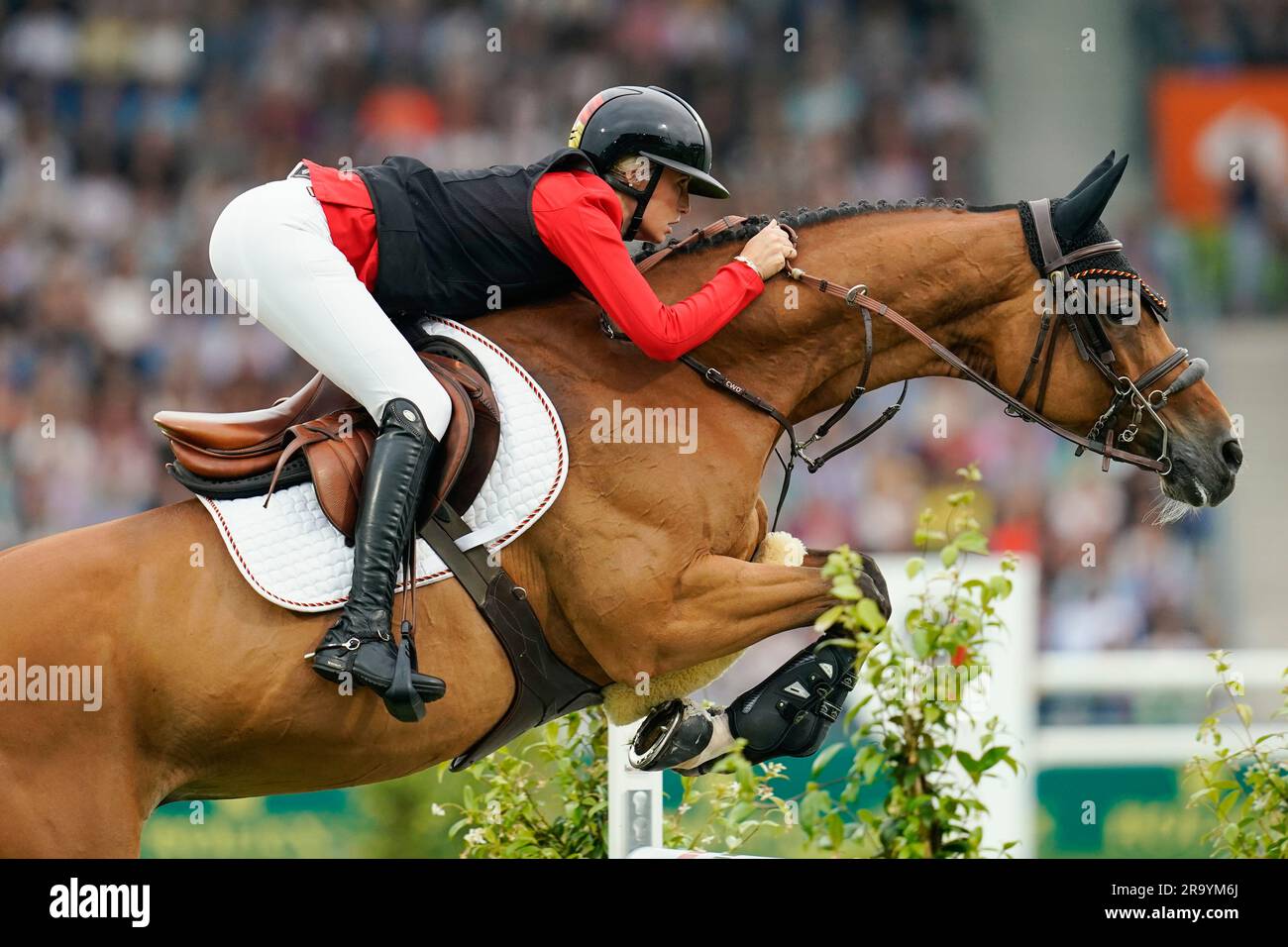Aachen, Germany. 29th June, 2023. Equestrian sport, jumping: CHIO, Show ...