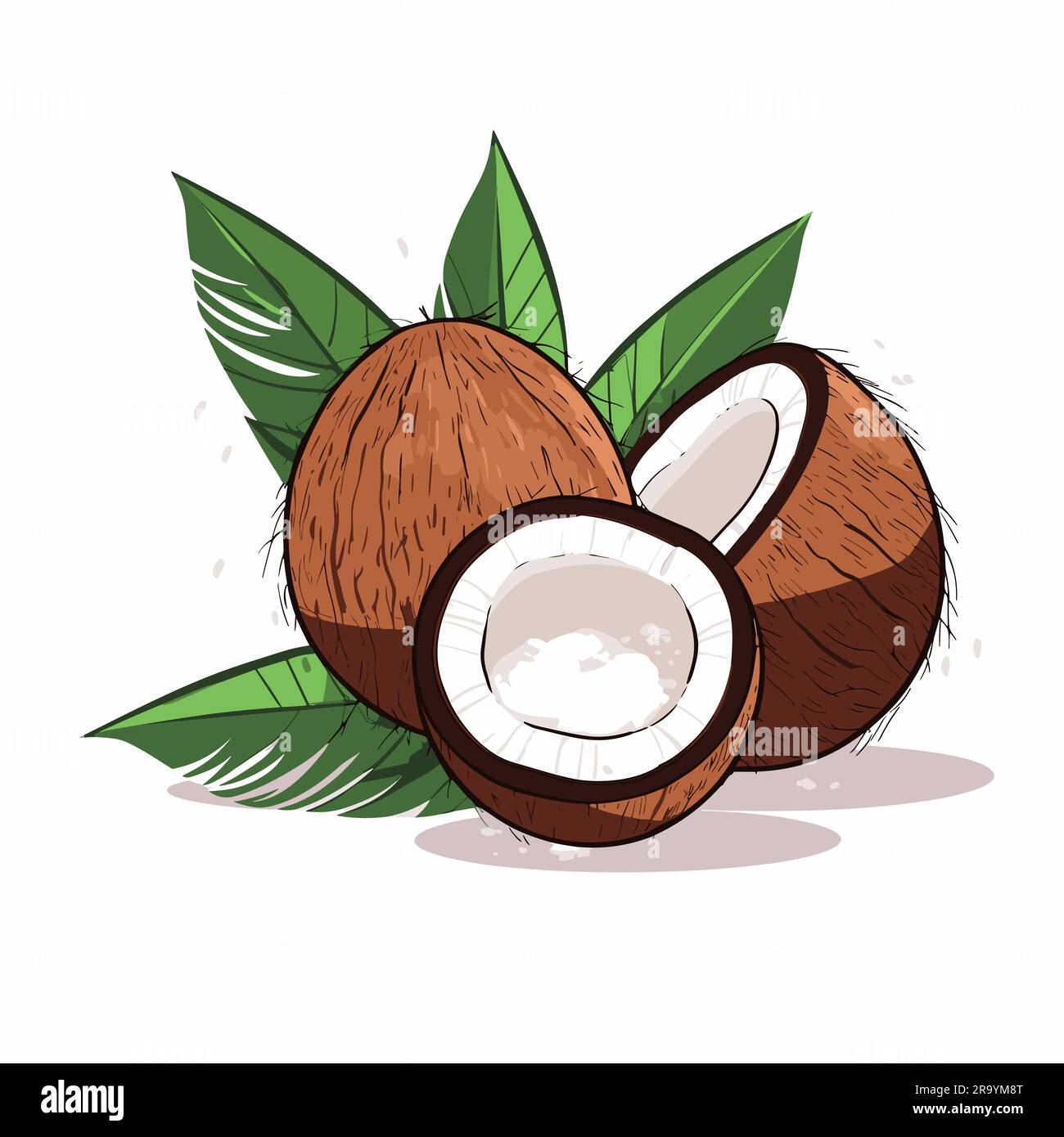 Coconut. Coconut hand-drawn illustration. Vector doodle style cartoon ...