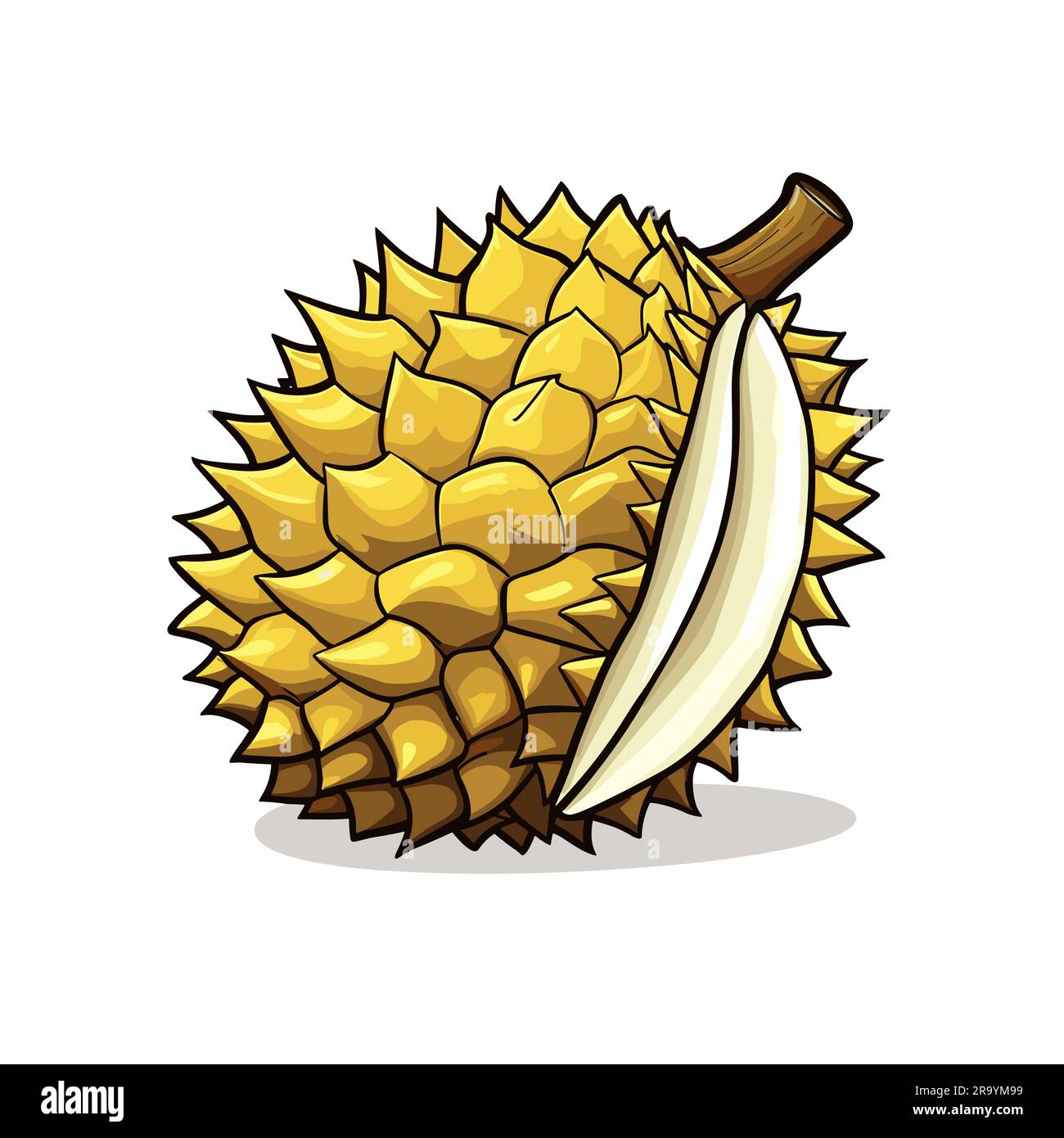 Durian drawing hi-res stock photography and images - Alamy