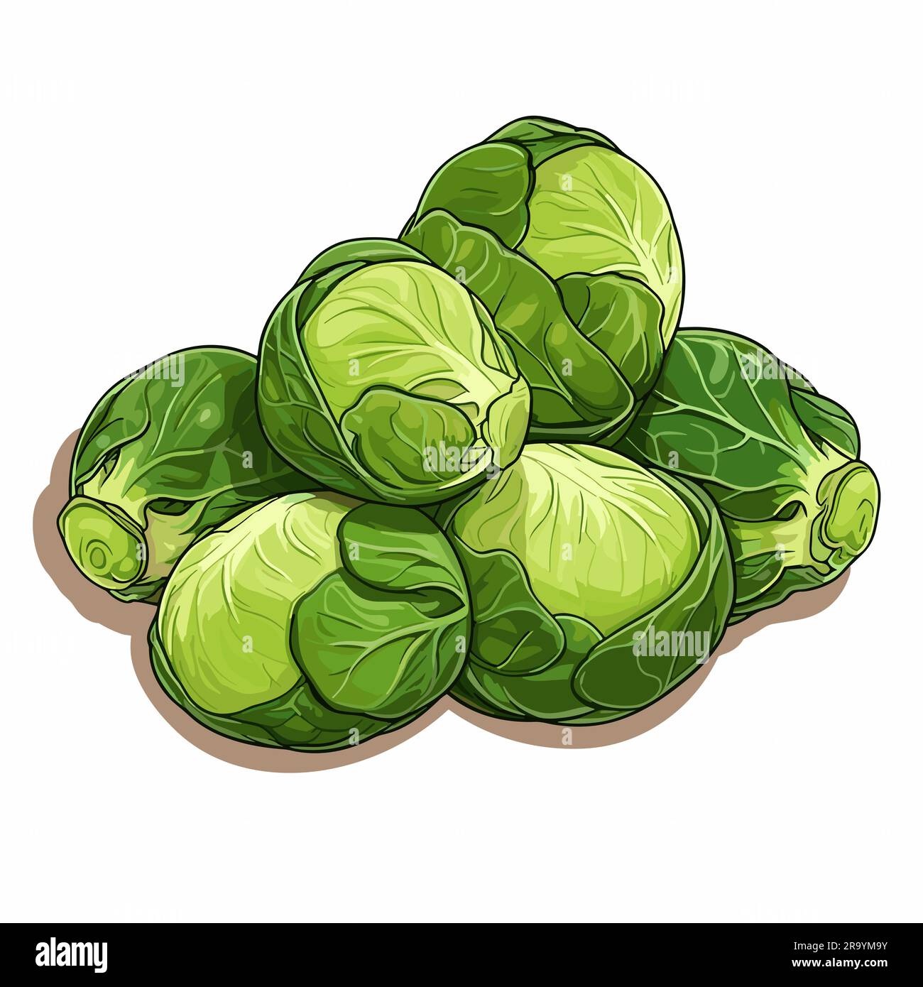 Sprout Cartoon