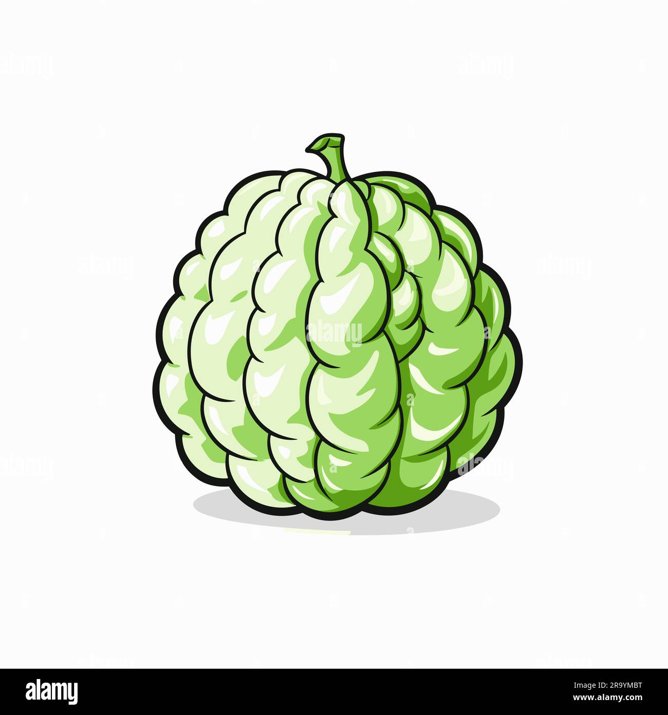 Atis Fruit Drawing