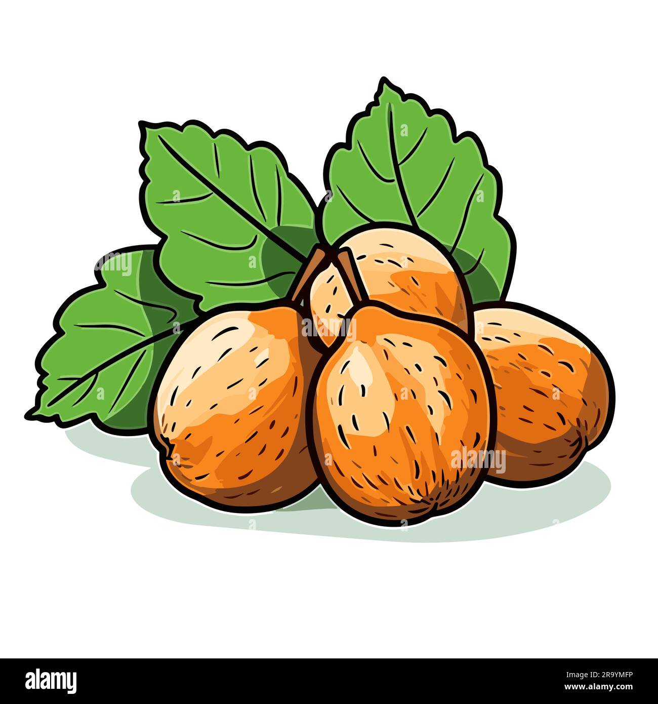 Illustration of ficus carica Stock Vector Images - Alamy