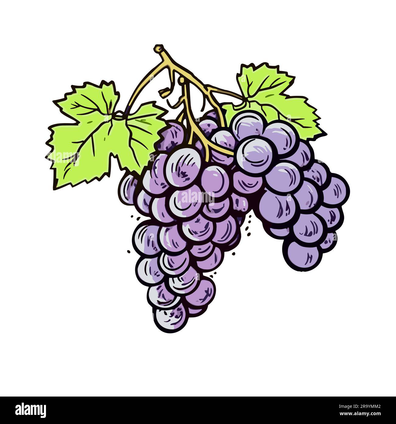 Grapes Cartoon