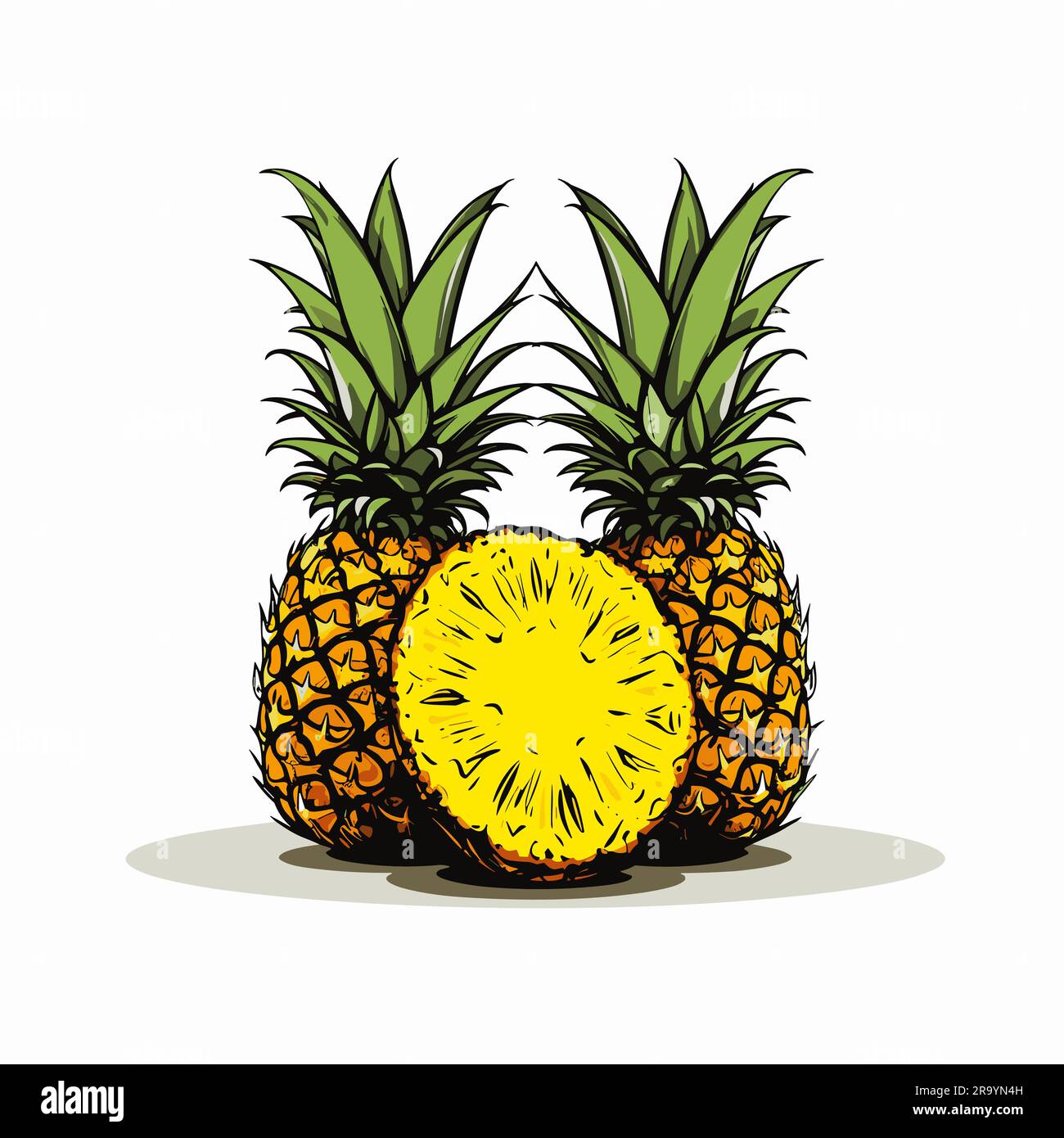 Ananas comosus drawing Stock Vector Images - Alamy