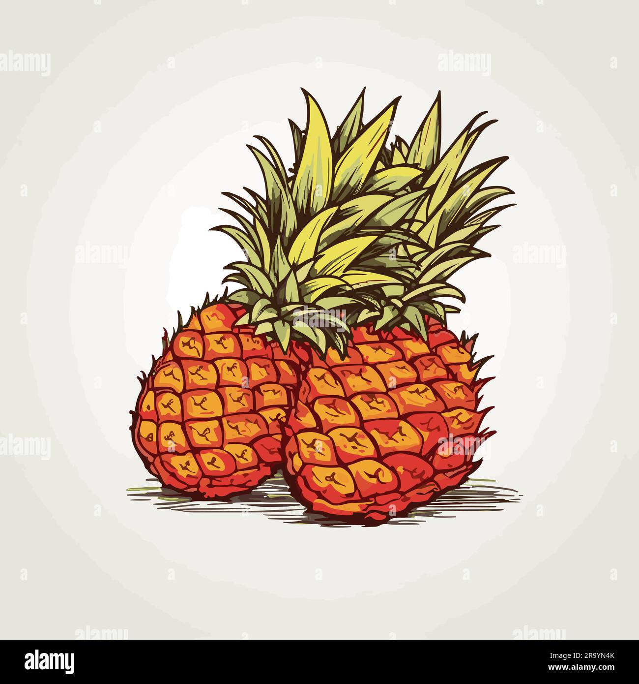 Ananas comosus drawing Stock Vector Images - Alamy