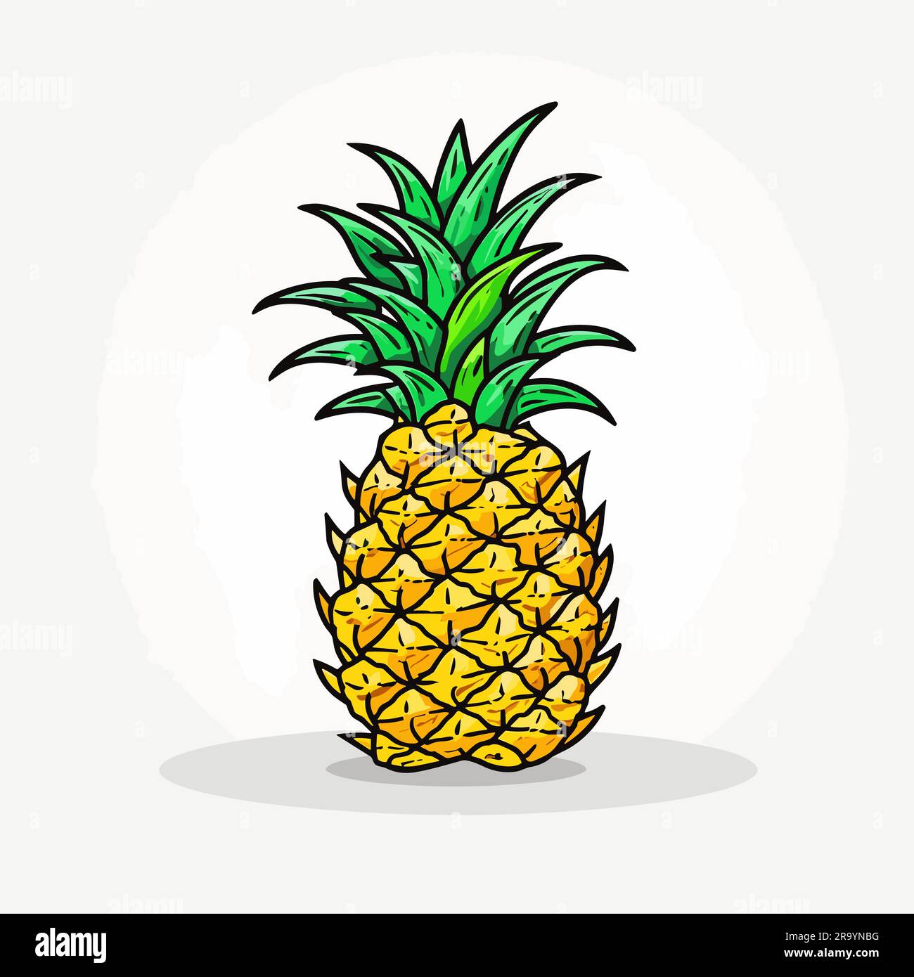 Ananas comosus drawing Stock Vector Images - Alamy