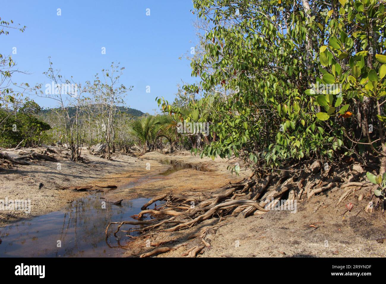 This image shows a dry landscape, with green parts Stock Photo - Alamy