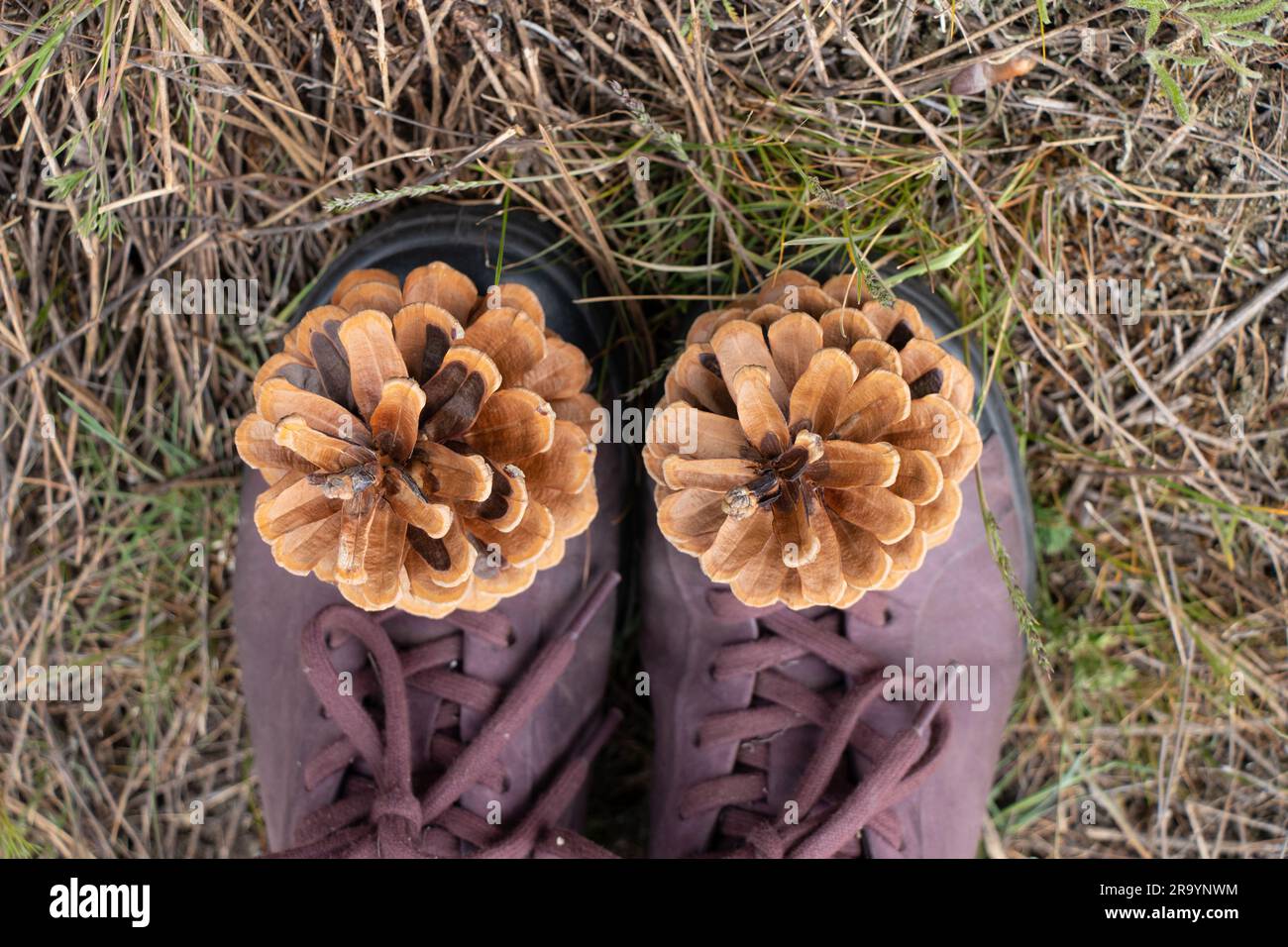 Top view women's legs shoes hi-res stock photography and images - Alamy
