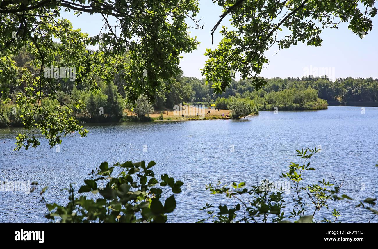 Beautiful idyllic dutch swimming lake, natural beach, green forest ...
