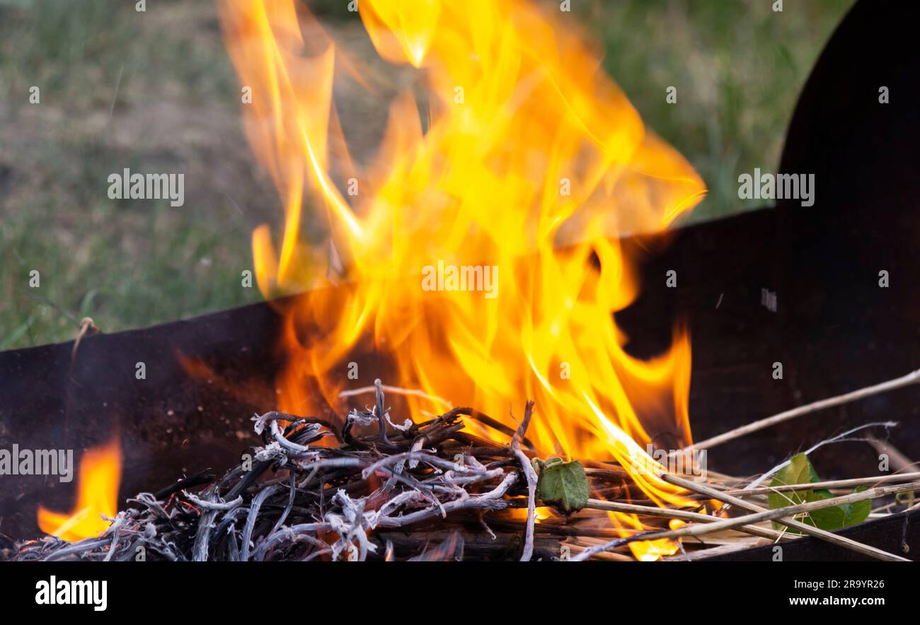 Campfire with big orange flame burning in the evening Stock Photo - Alamy