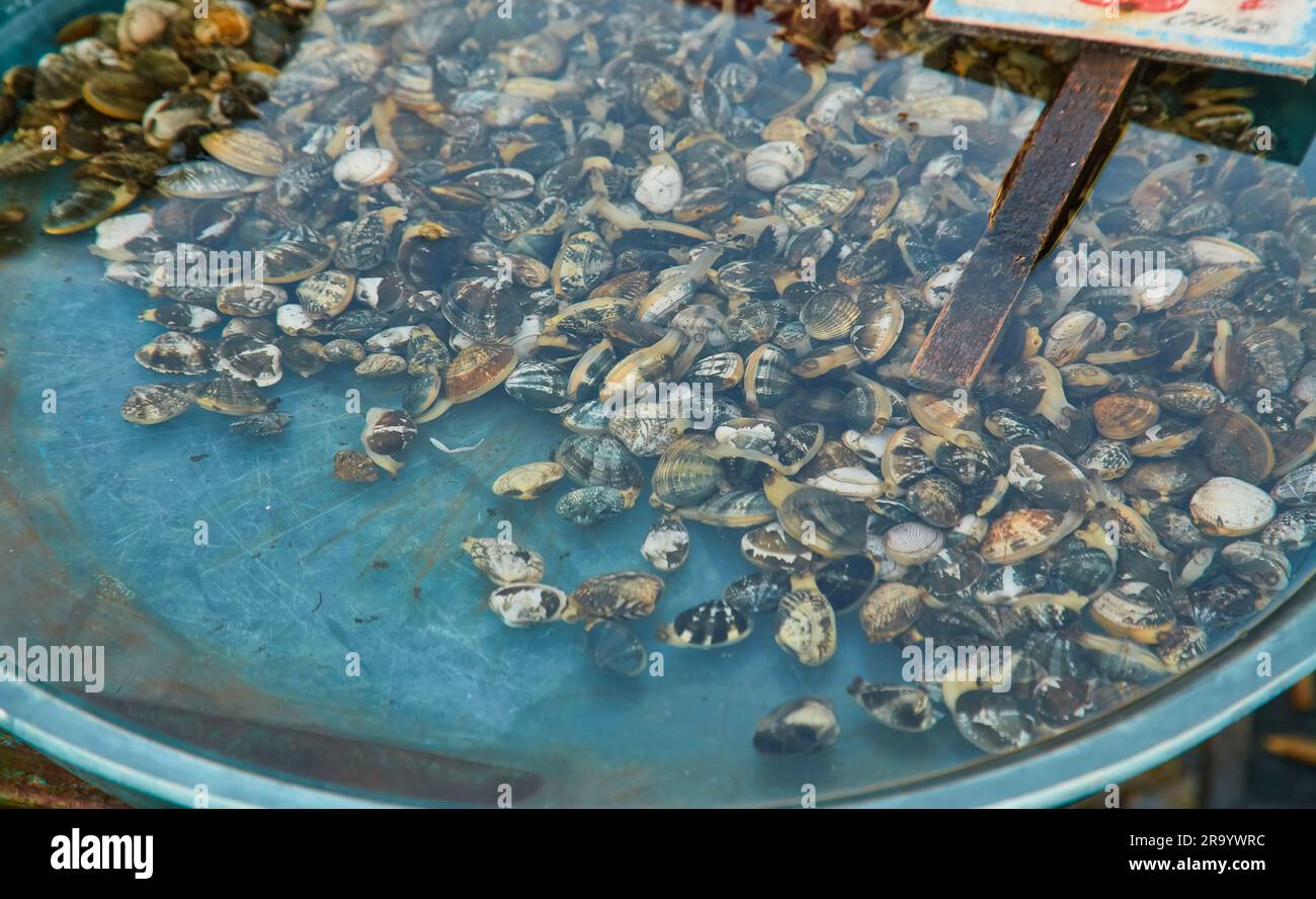 Fresh mussels on fish farmer market ready for sale and use for ...