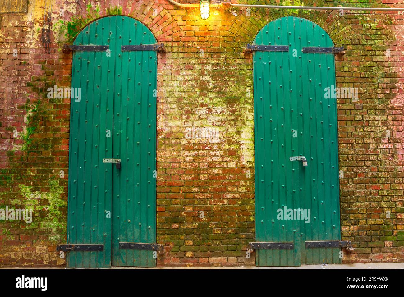 Old ruined bricks wall wallpaper with mossy doors and light. Ruinous ...