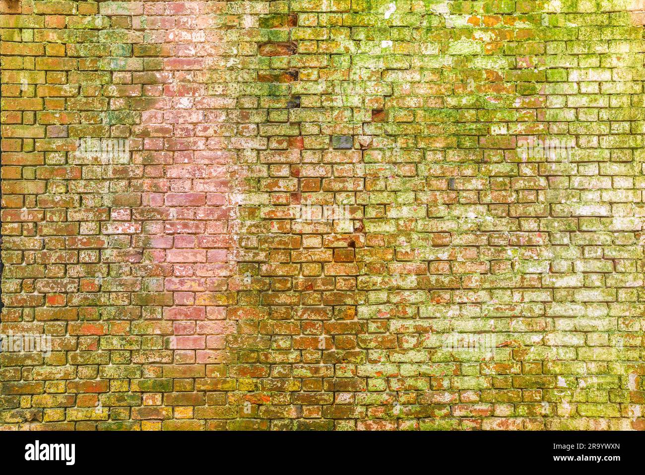 Ruined brick wall texture with moss. Rusty wall texture for tapestry ...