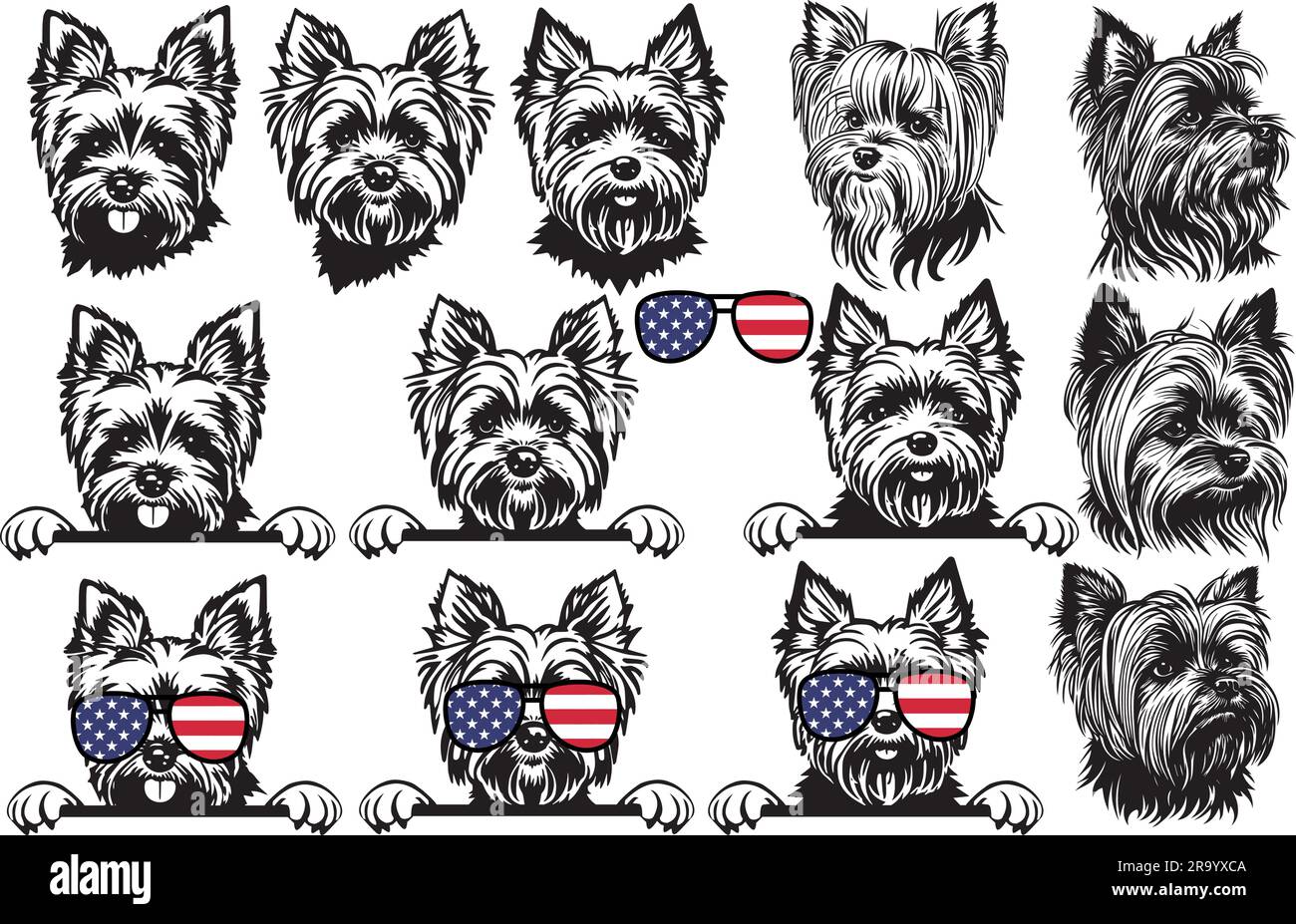 Yorkshire terrier puppy, happy Stock Vector Images - Alamy