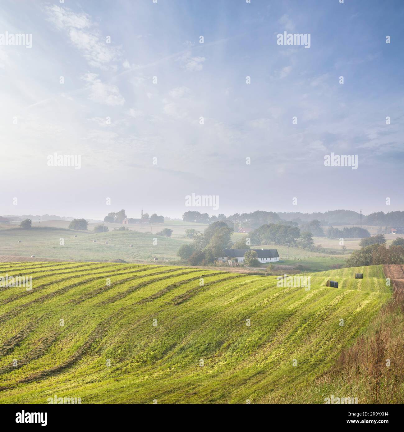 Agricultural landscape in Skåne, Sweden Stock Photo - Alamy